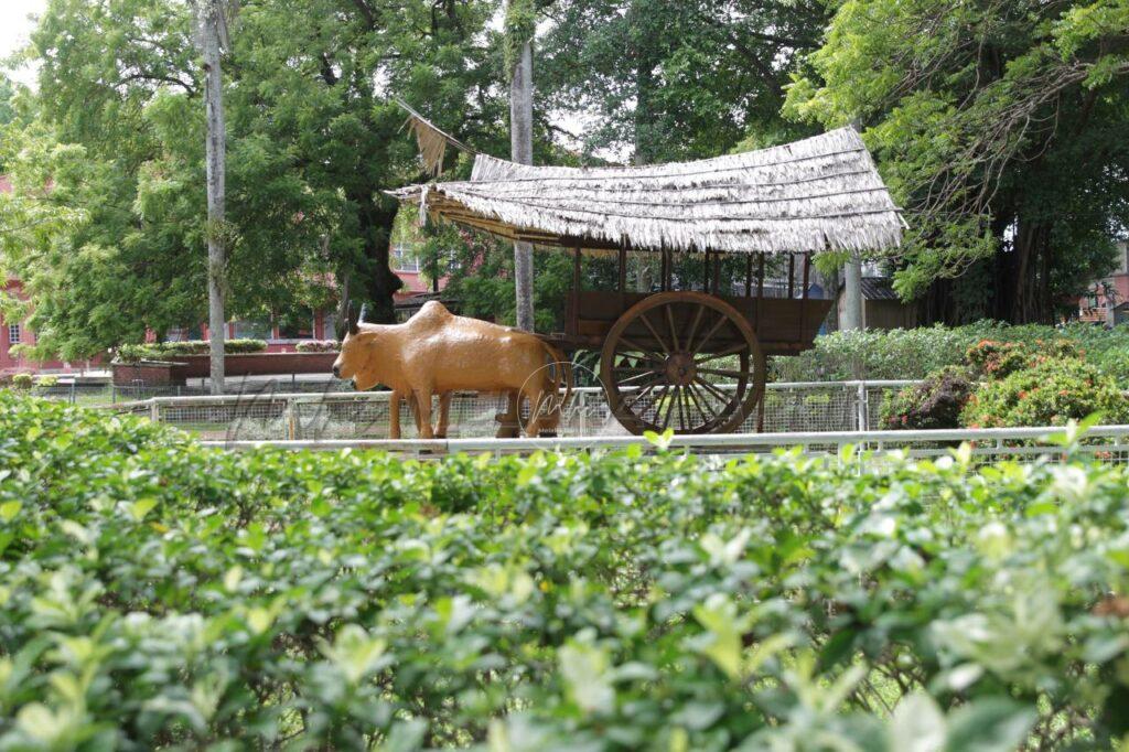 Taman bunga saksi negara merdeka